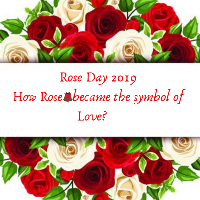 Rose Day 2019 - How Rose? became the symbol of Love??